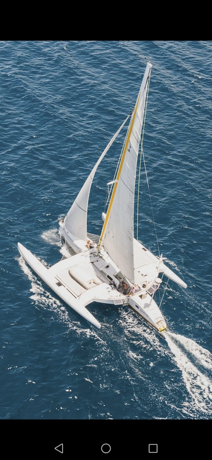Pacific Multihull Delivery | Catamaran & Trimaran Offshore